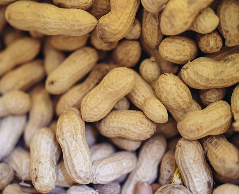 11 Most Valuable Crops Grown in Oklahoma - Oklahoma Daily News